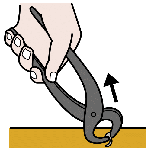 Pull Out In ARASAAC Global Symbols Pull Out In ARASAAC Global Symbols